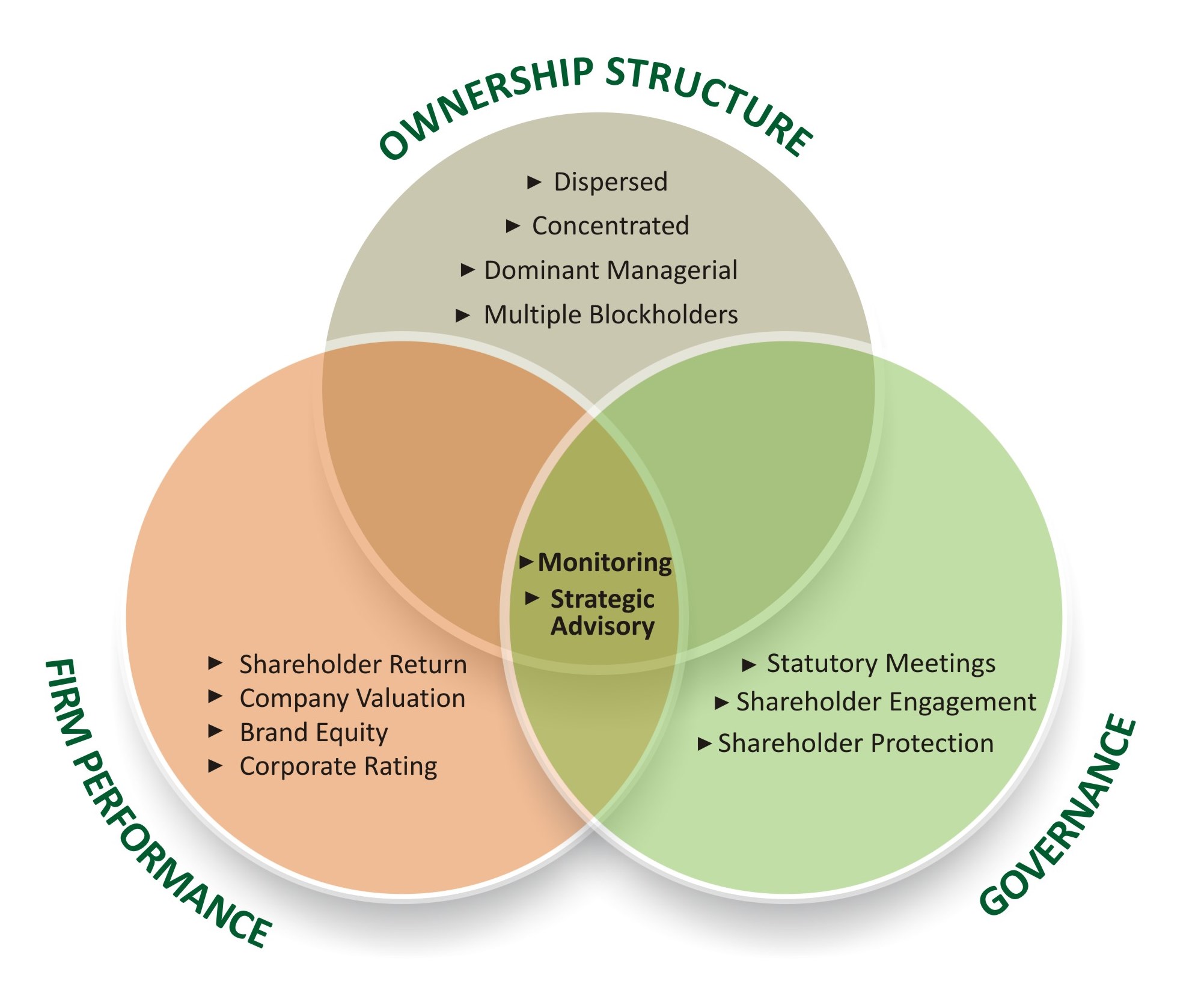 Our Services – Corporate Governance Advisory